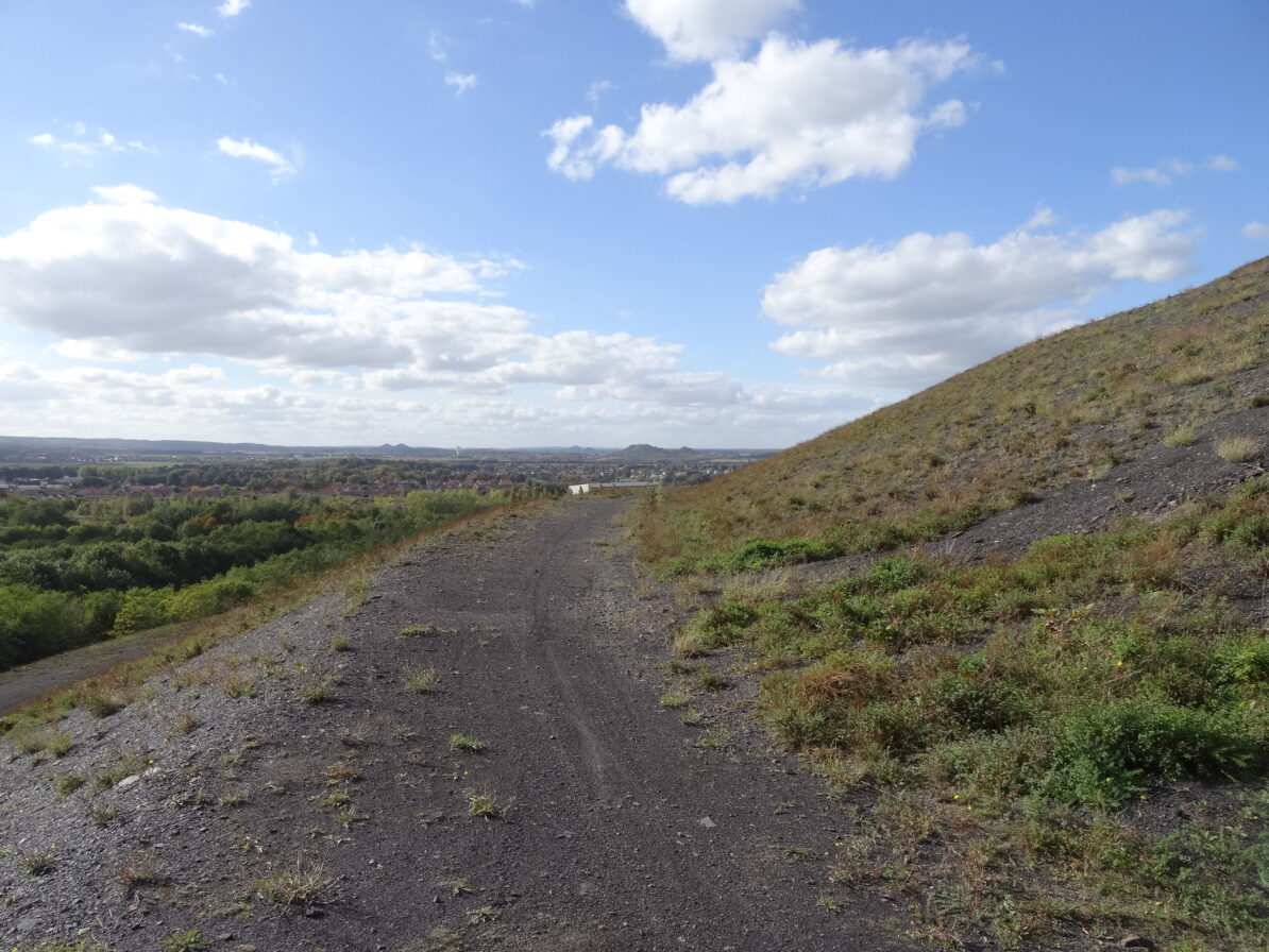 Terril n° 58 – Grenay Mazingarbe - Destination Terrils