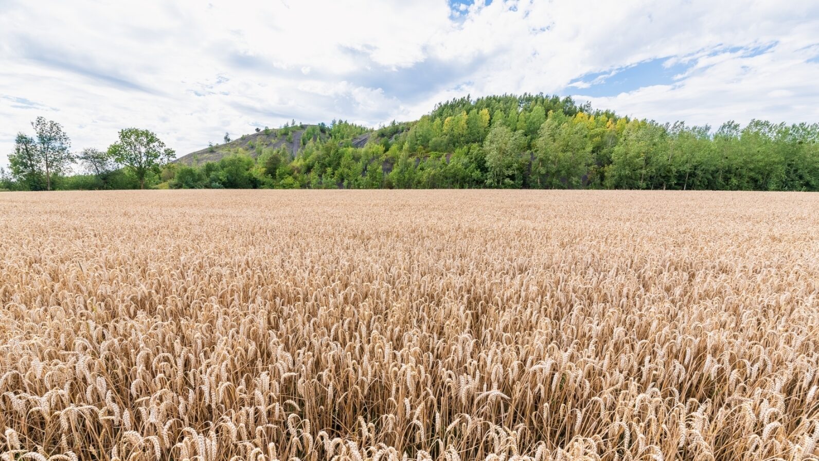 10 facts about the slag heaps ! - Destination Terrils