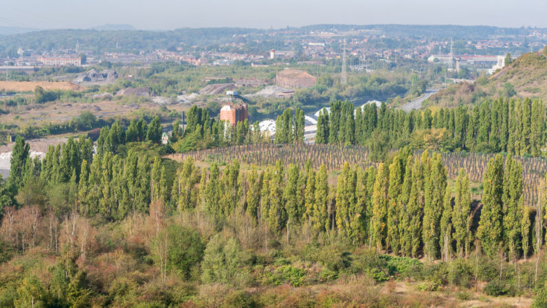 10 choses à savoir sur les terrils ! - Destination Terrils