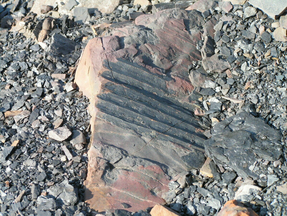 10 facts about the slag heaps ! - Destination Terrils